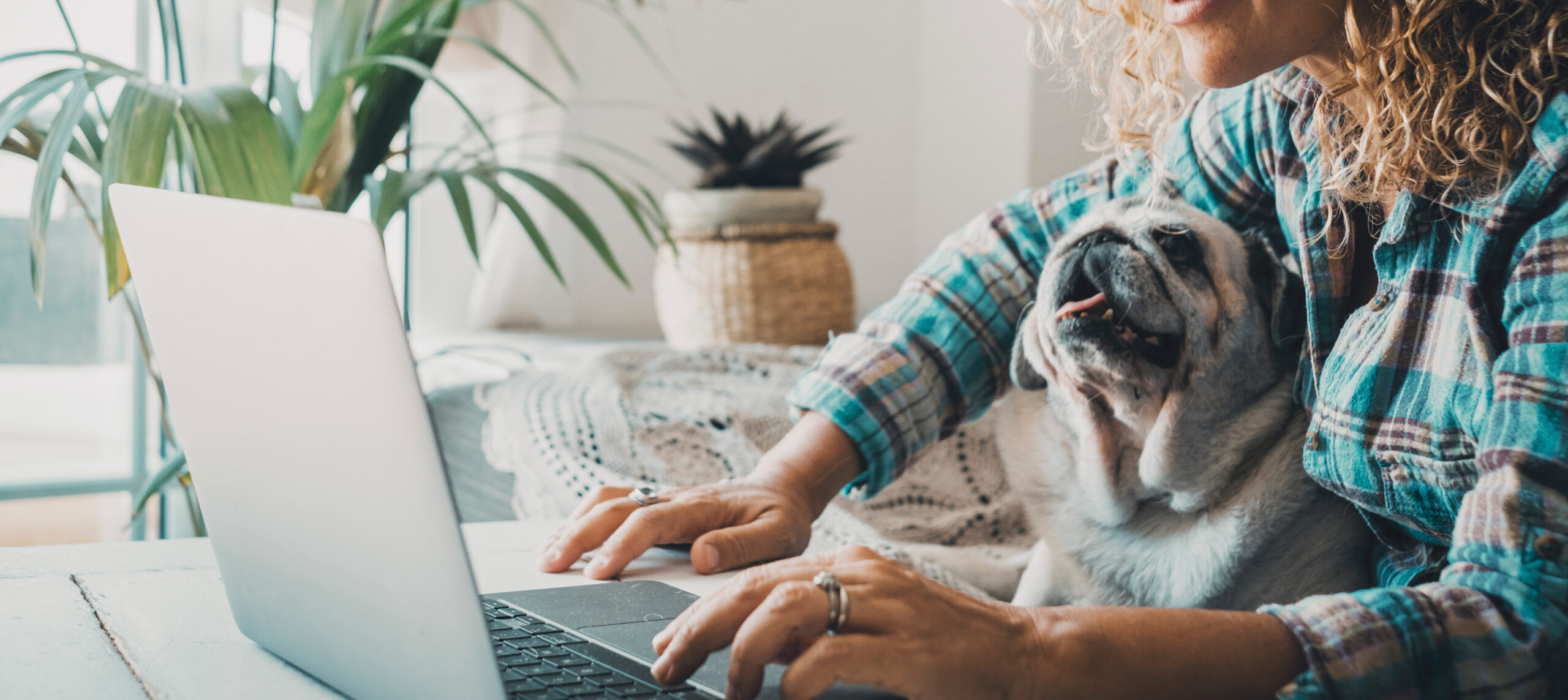 SMS Opt-In/Out - Animal Internal Medicine Consultants